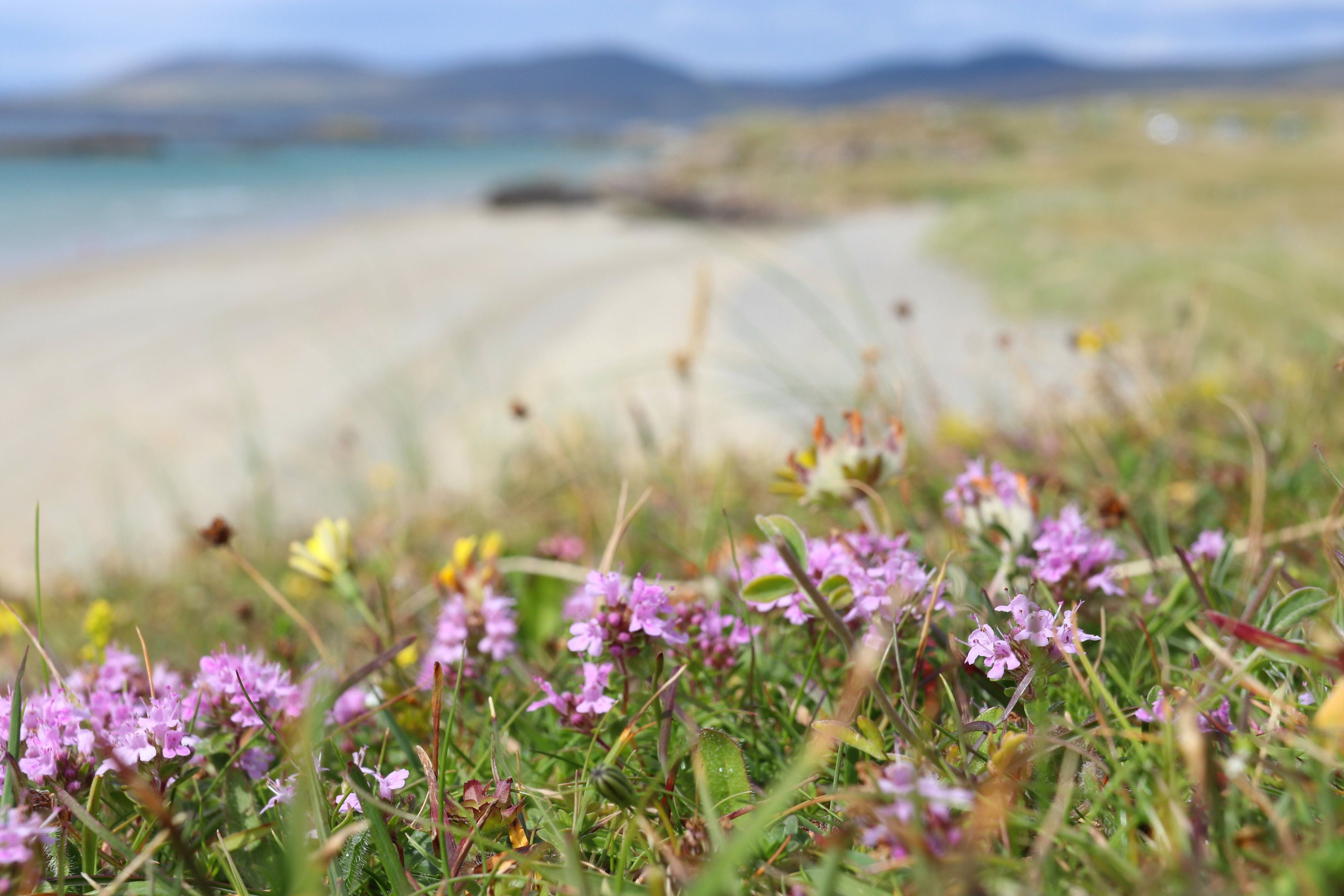 Ireland travel guide: Top 9 things to see and do in beautiful Connemara ...