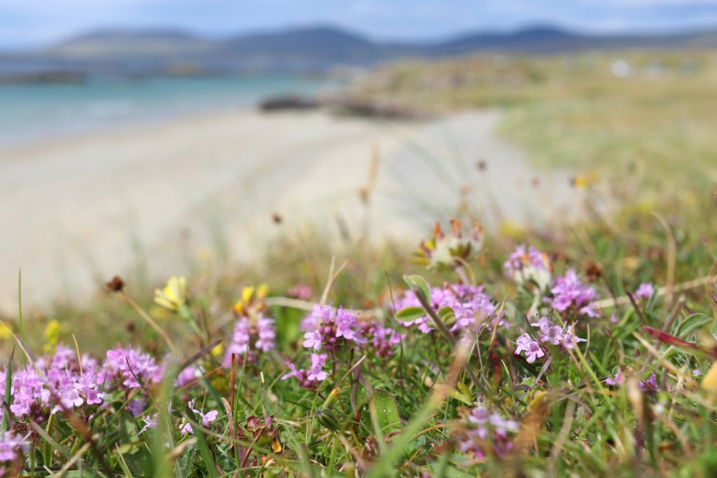 Ireland travel guide: Top 9 things to see and do in beautiful Connemara ...