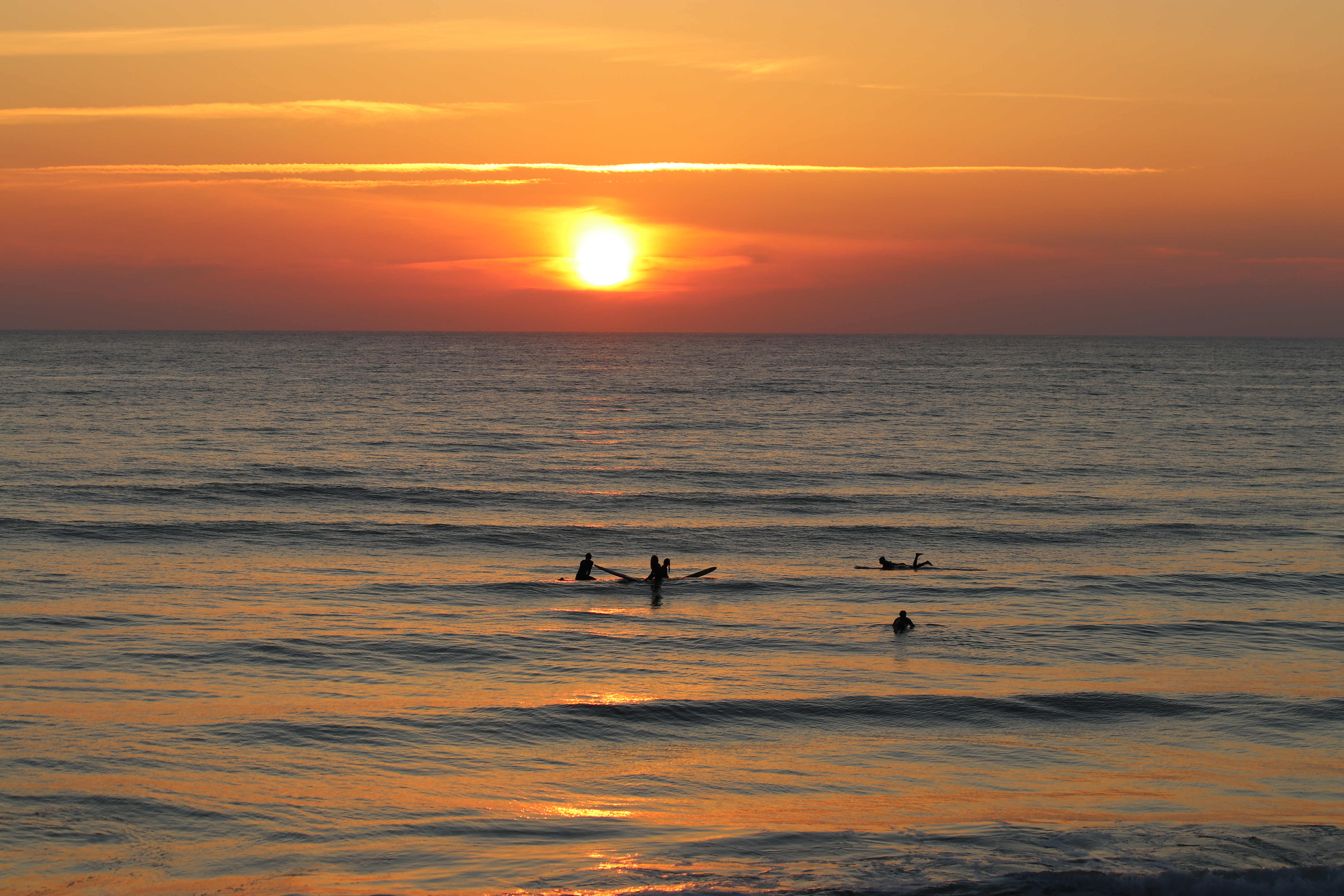 A Valuable Guide To Celebrating World Ocean Day Every Day – OUR CROSSINGS