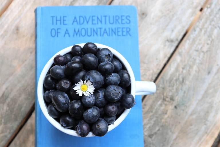 8+ Inspiring Mountain Adventure Books You Should Read This Year – OUR ...