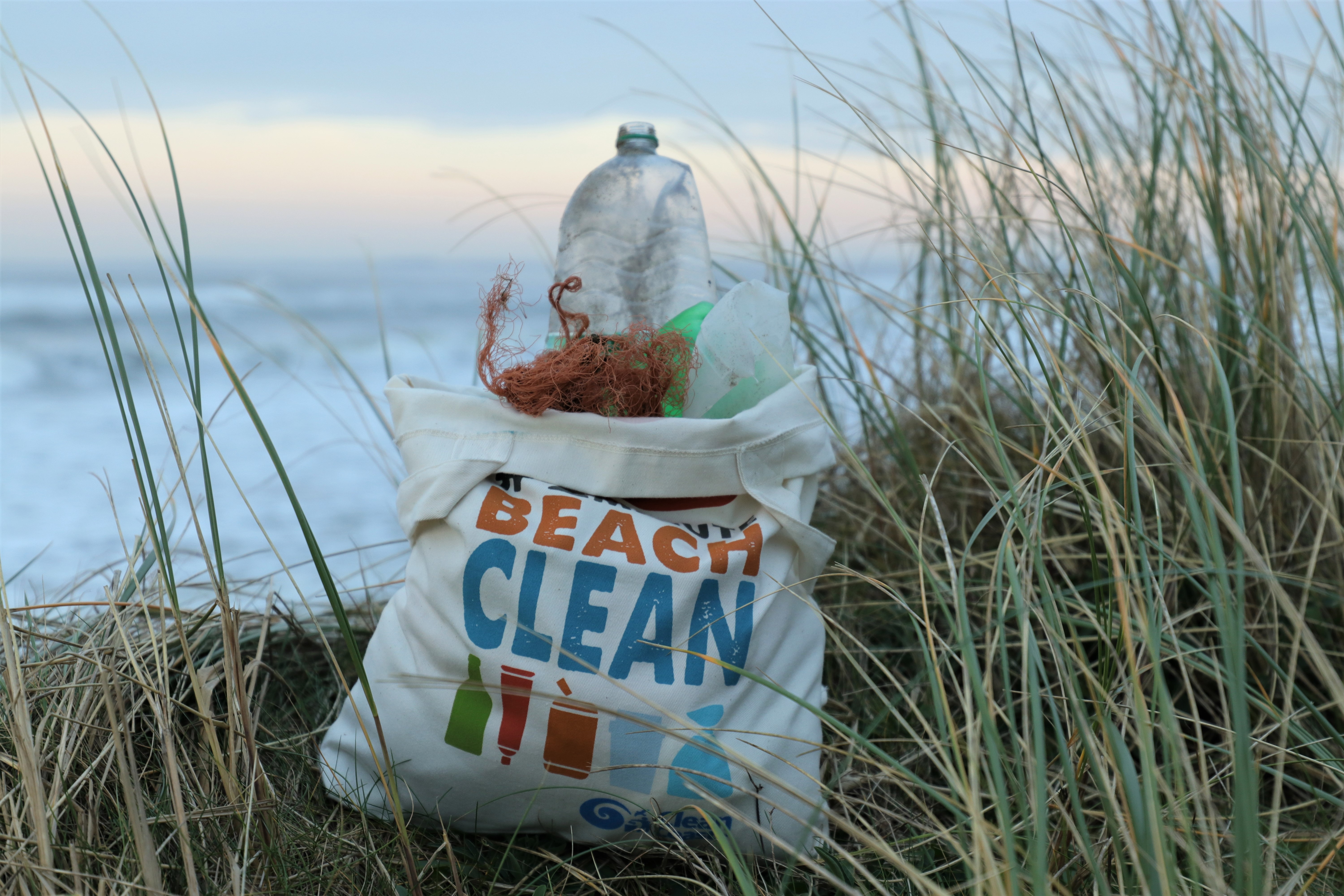 5+ Benefits Of Cleaning Up Your Local Beach & How To Get Started – OUR ...