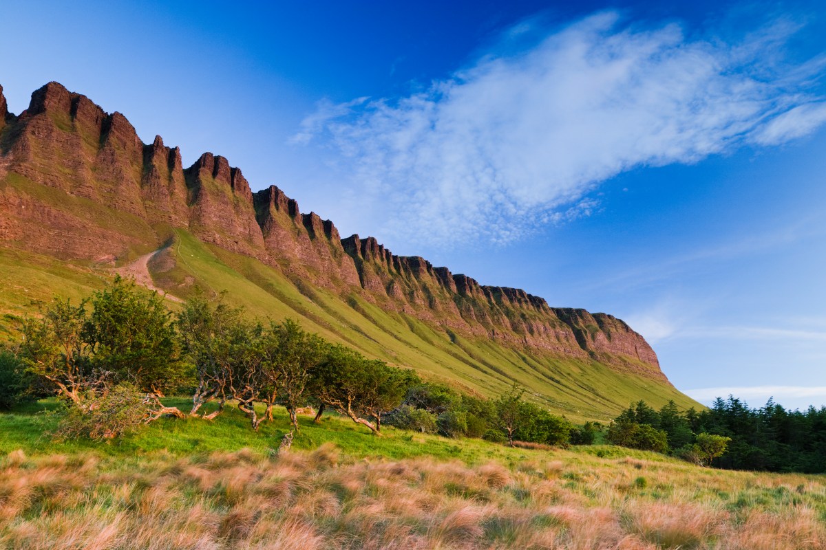 A Fantastic Walk for a Weekend: Benbulben Forest Walk in Beautiful ...