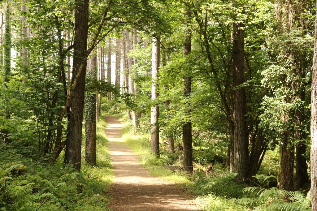 Your Ultimate Guide to the Best Things to See and Do in County Donegal ...