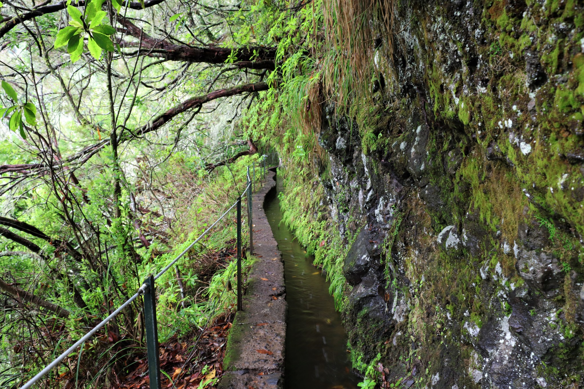 The Very Best Madeira Activities For A Fun Filled Portuguese Vacation ...
