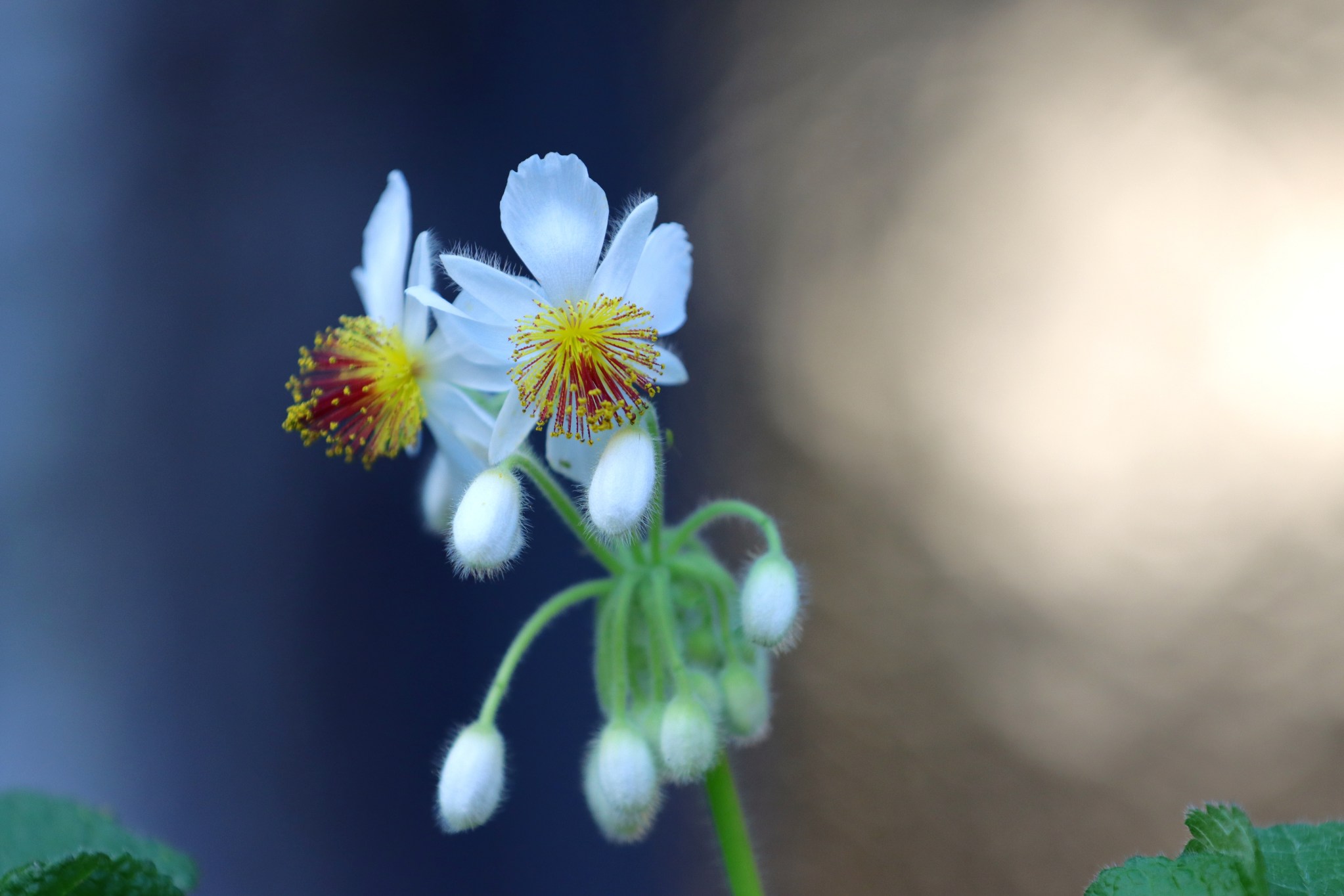 How to visit Glenveagh National Park in County Donegal: The Ultimate ...