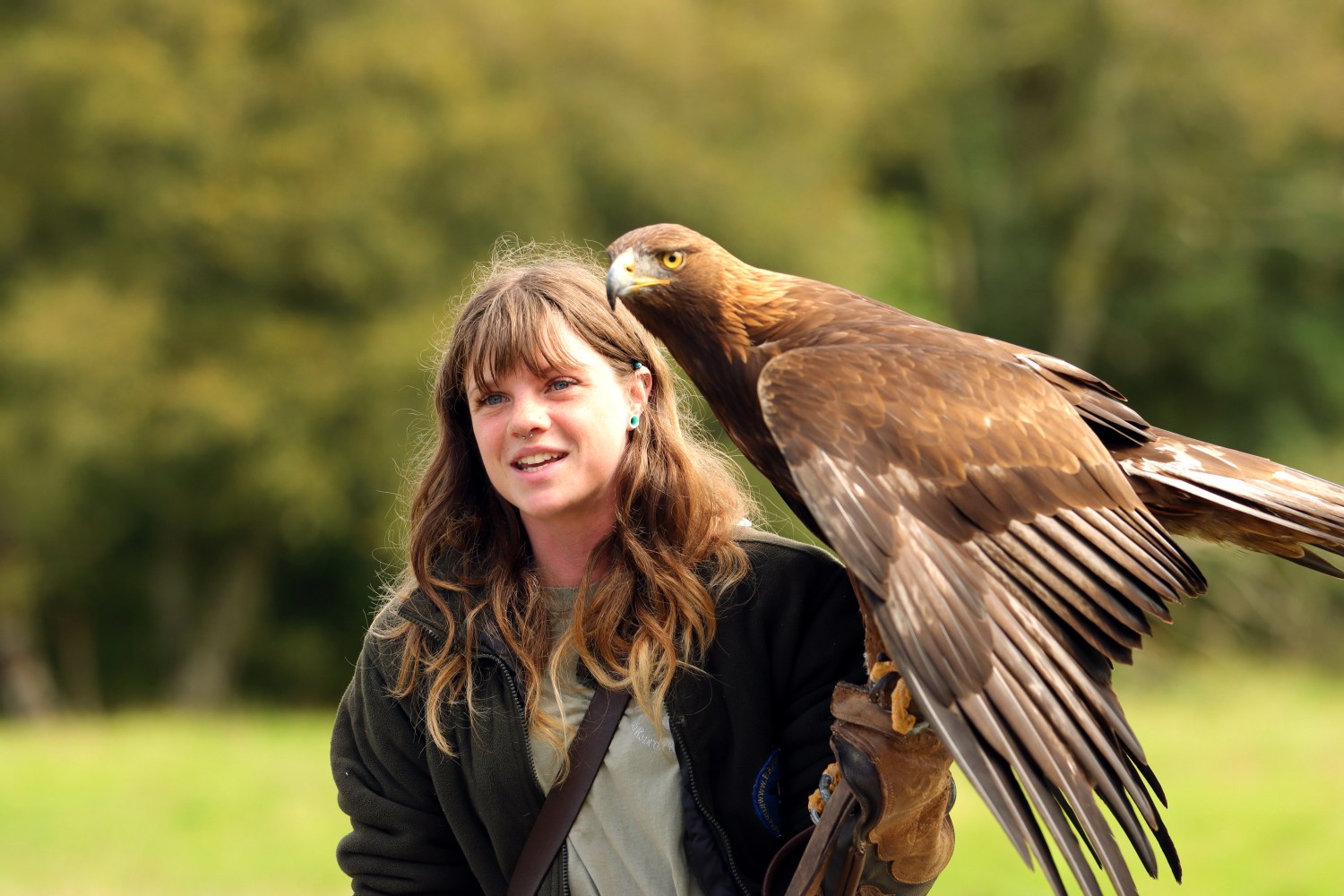 A Short Guide To Visiting Wonderful Eagles Flying In Sligo, Ireland ...