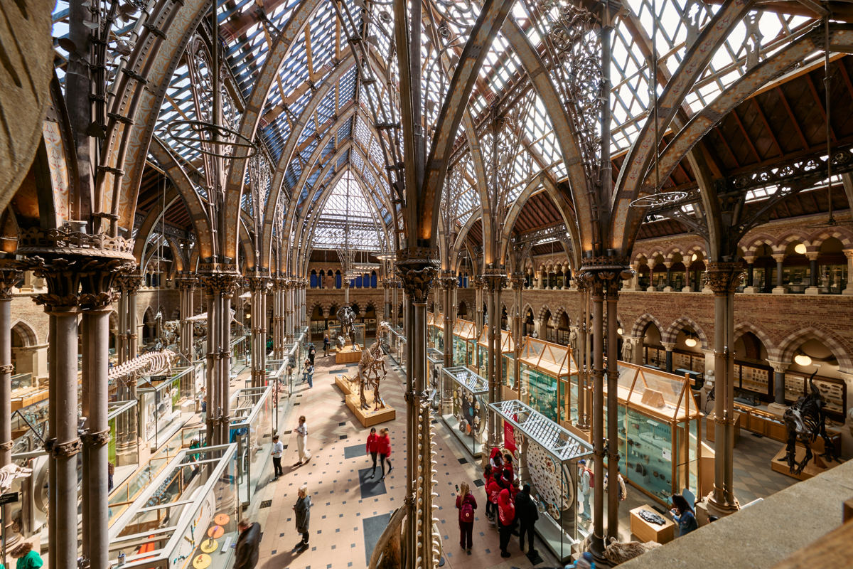 A Short Guide to Visiting Oxford University Museum of Natural History ...