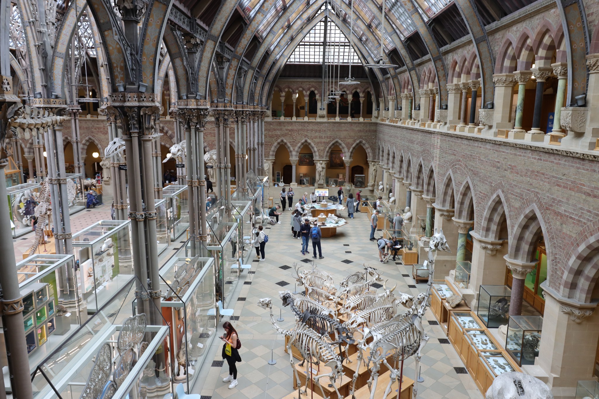 A Short Guide to Visiting the Oxford University Museum of Natural ...